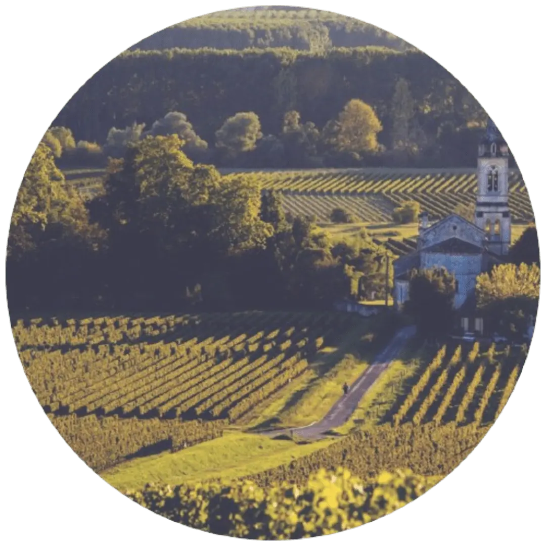 Bordeaux Index Fine Wine & Spirits